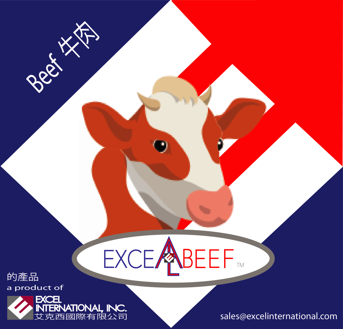Downloads - Excel International